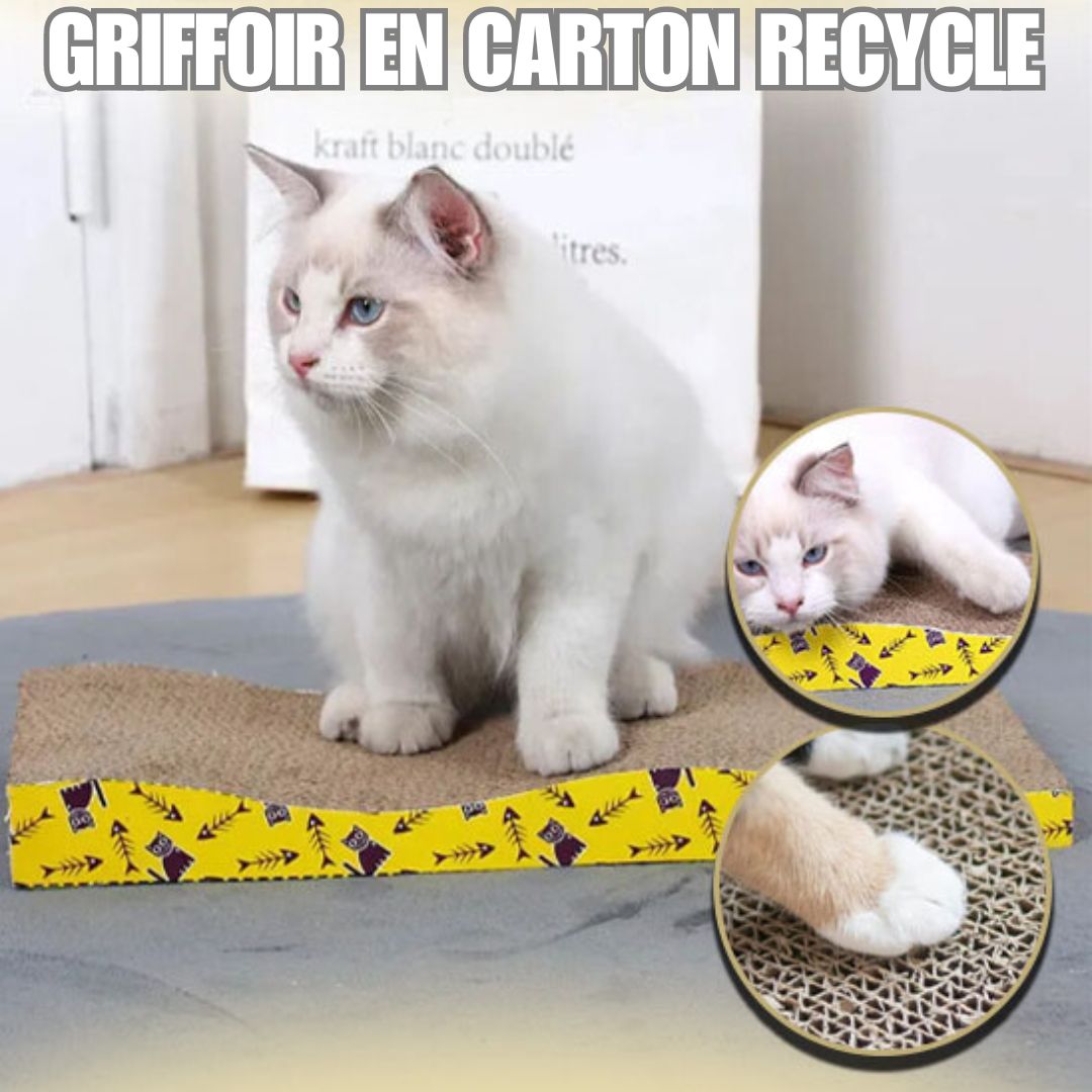 griffoir chat | WaveGriff™ – Mon chat D'amour